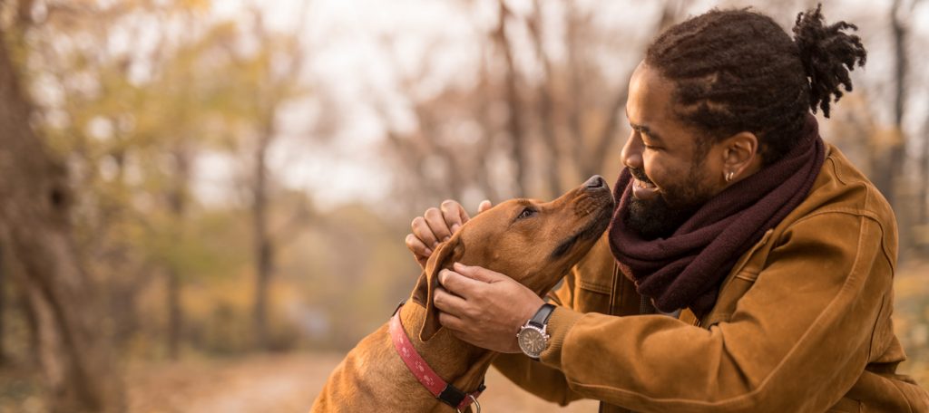 Do I Need A Standalone Dog Bites Insurance Policy? | Dog Bite Insurance